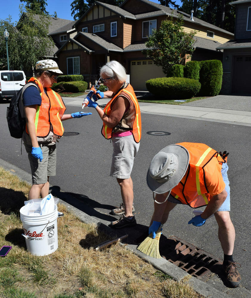 Drain markings aim to protect Puget Sound from pollution - Mukilteo Beacon