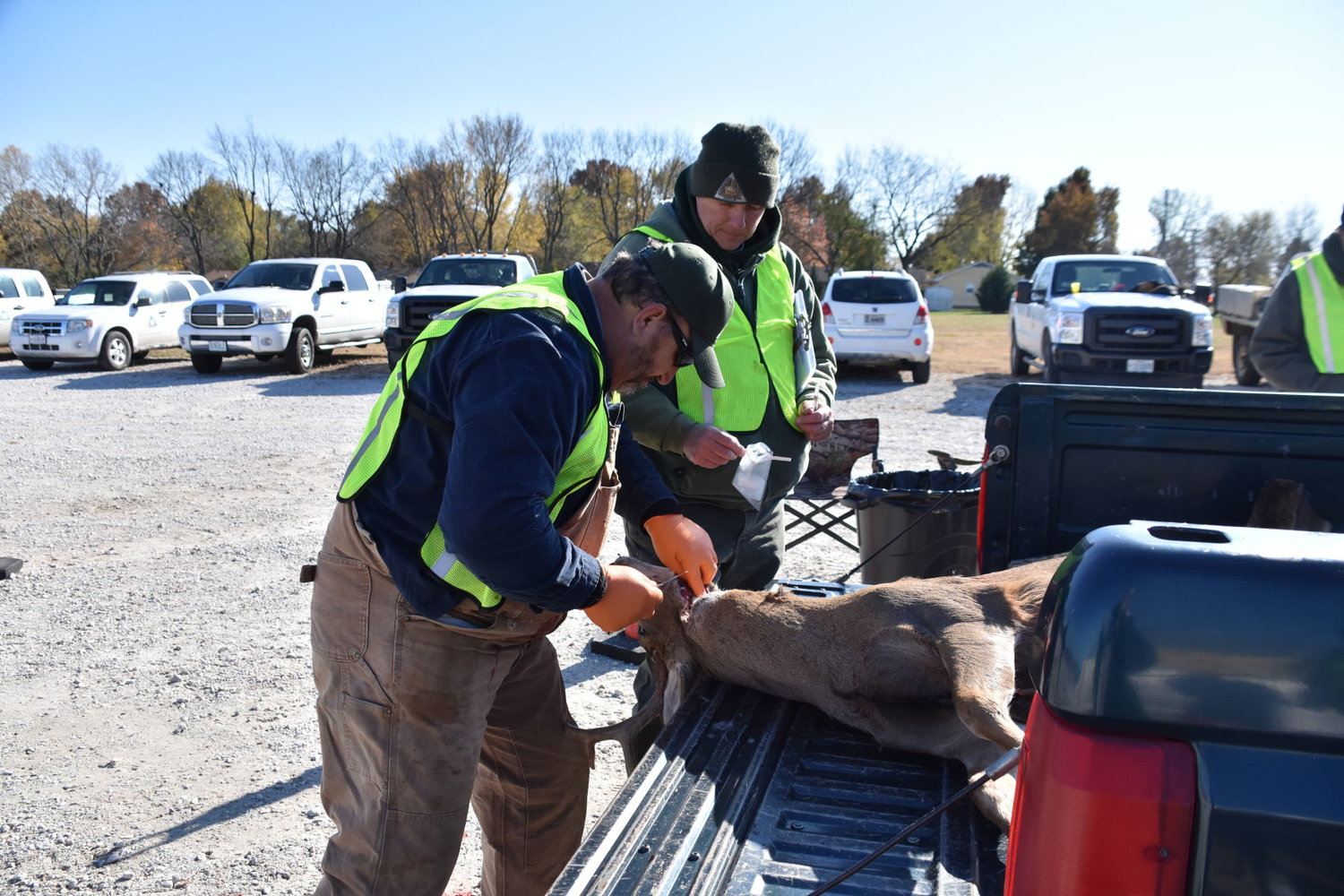 The hunt is on | Bolivar Herald Free-Press