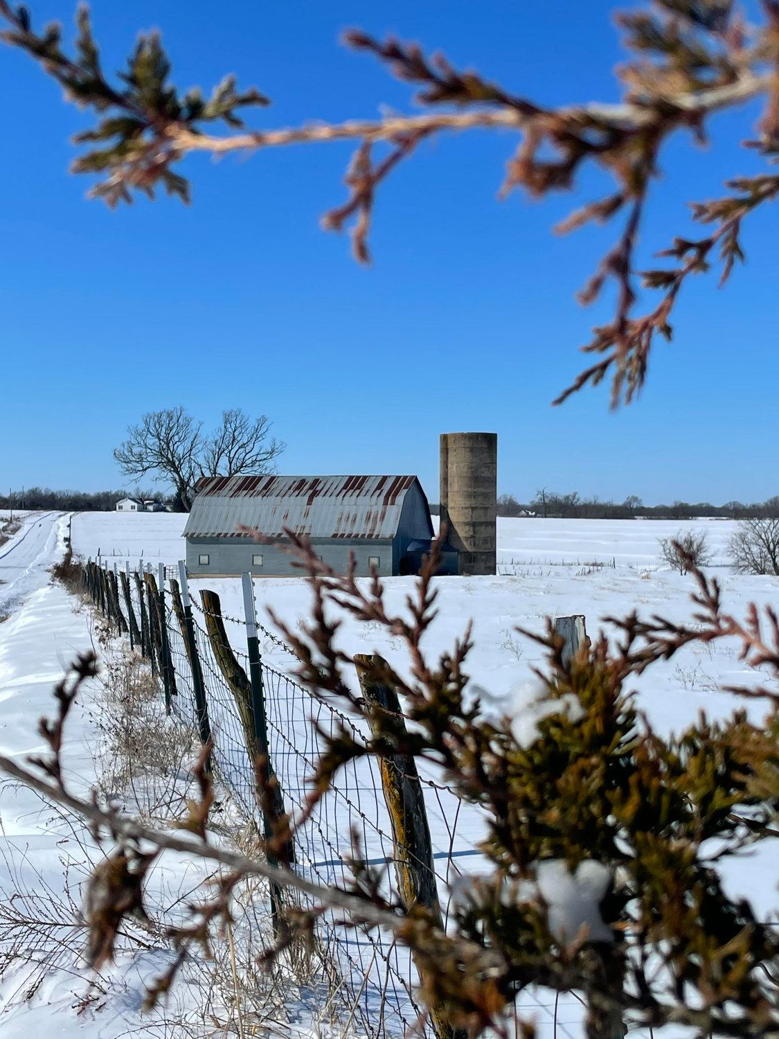 From your lens | Bolivar Herald Free-Press