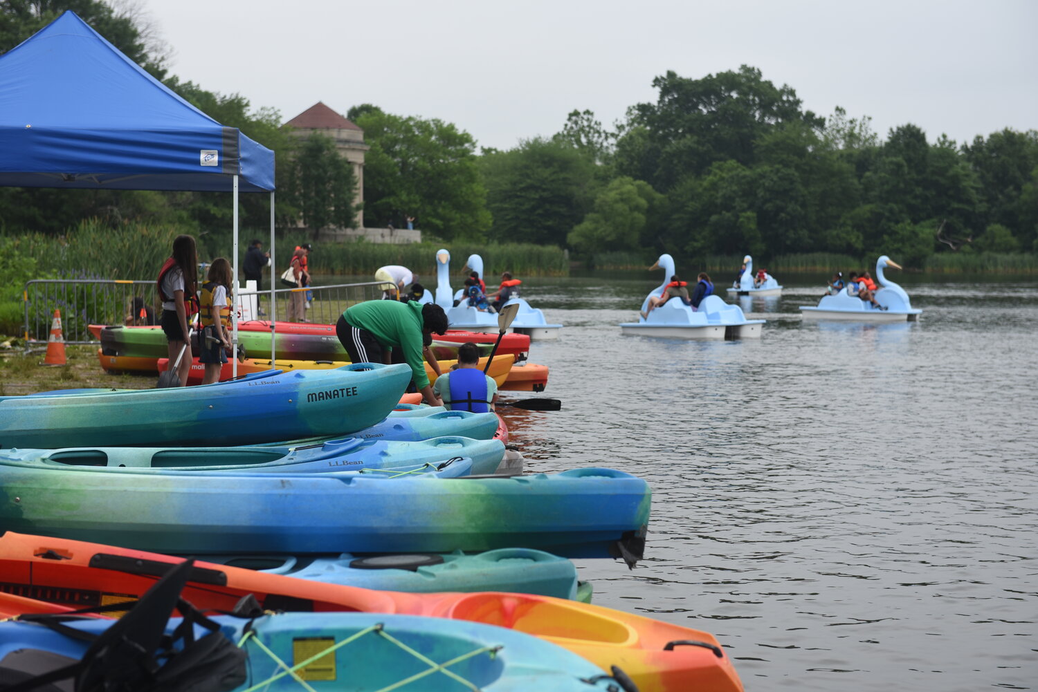 A swim in the Schuylkill | The Chestnut Hill Local