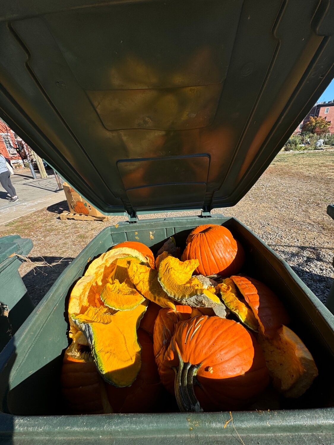 Green ways to discard leftover pumpkins, jack-o-lanterns | The Chestnut ...