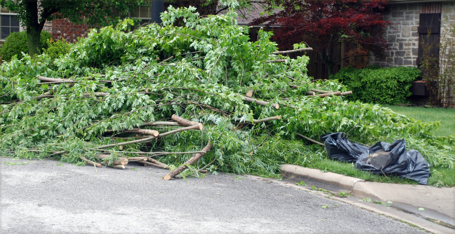 Tree limb pickup following Ozark storm event | Christian County ...
