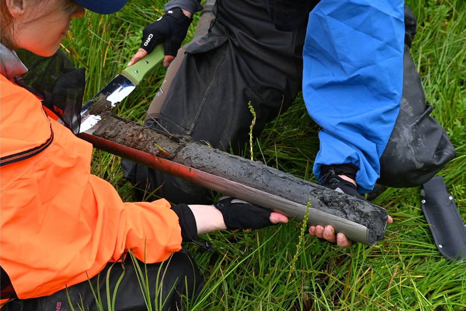 Flawed Wetland Metrics Challenge Carbon Storage Models - Environment ...