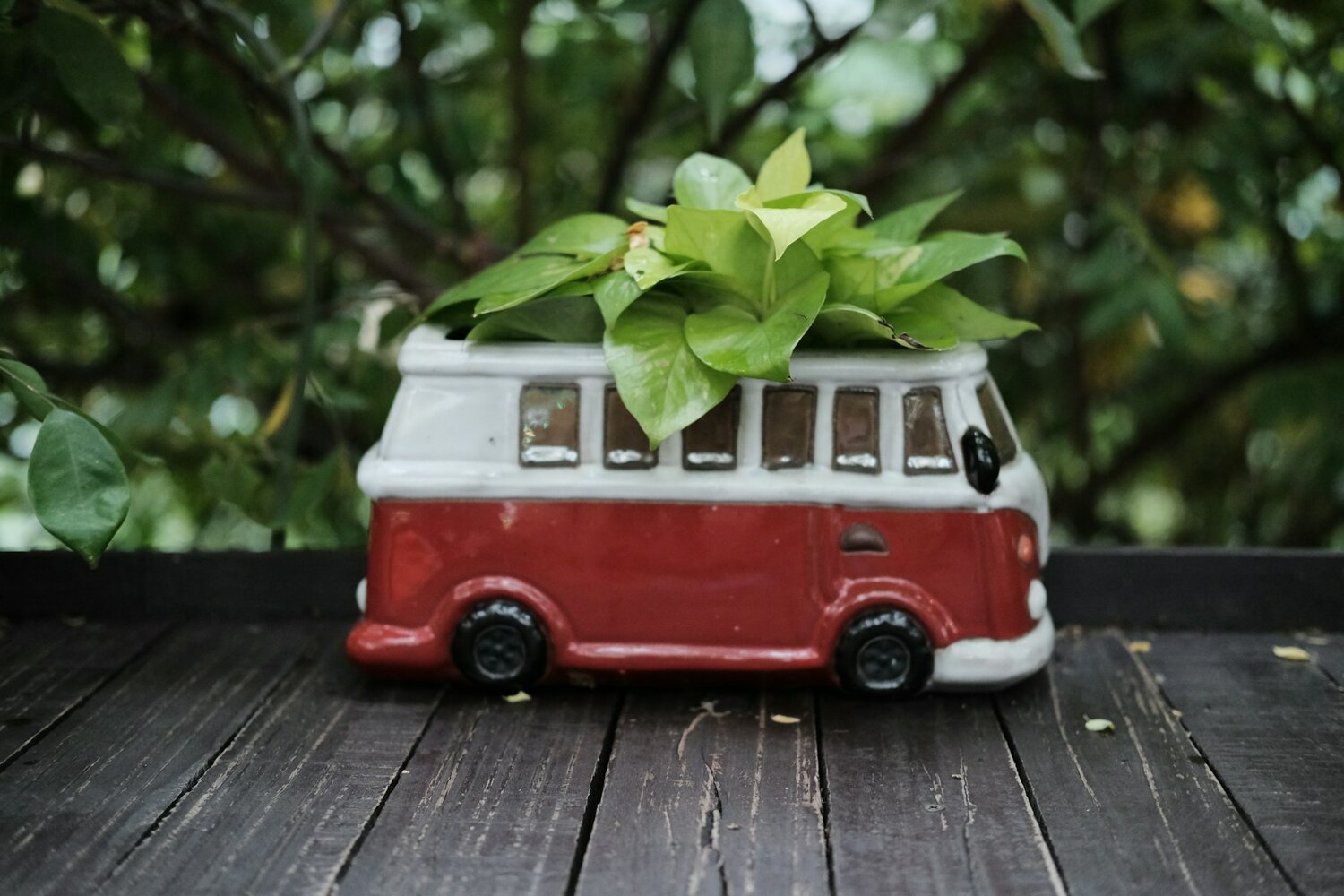 Zero-Emission Bus Adoption Expands Across U.S. Transit - Environment ...