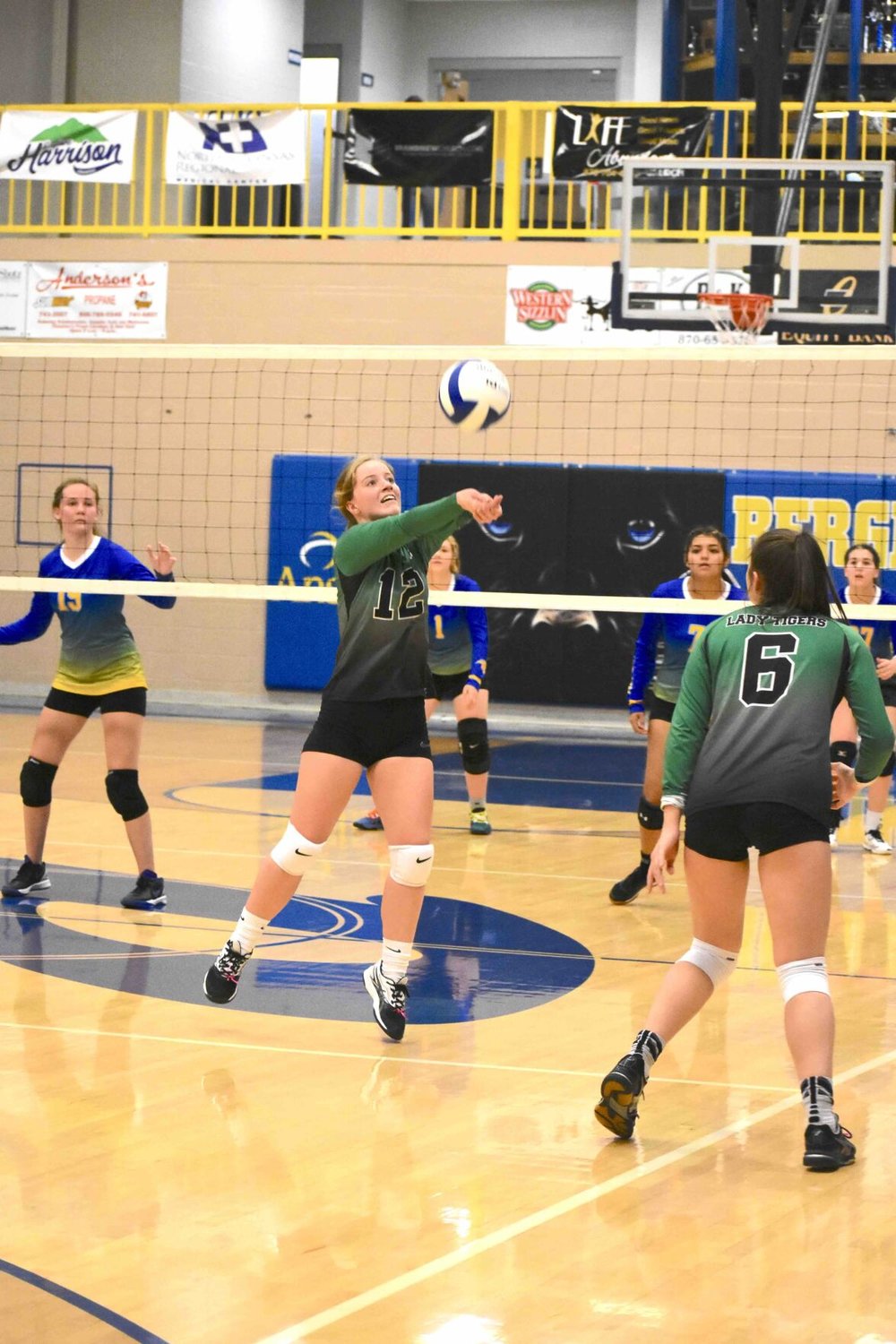 Undefeated Lady Tigers sweep Bergman - Harrison Daily