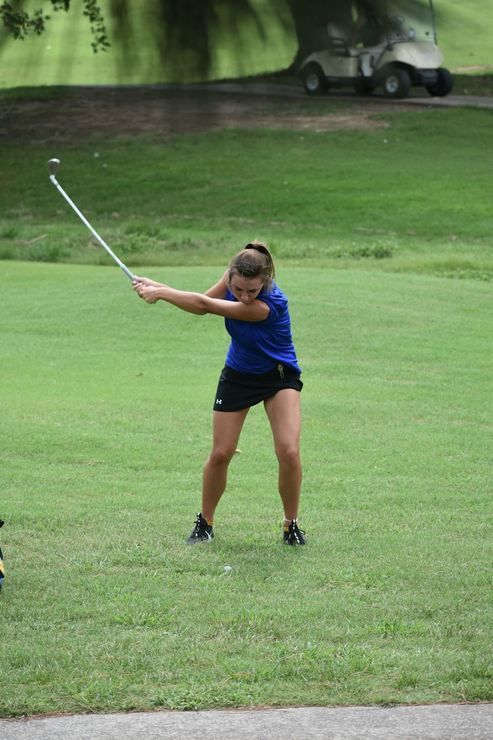 Harrison takes two golf events - Harrison Daily