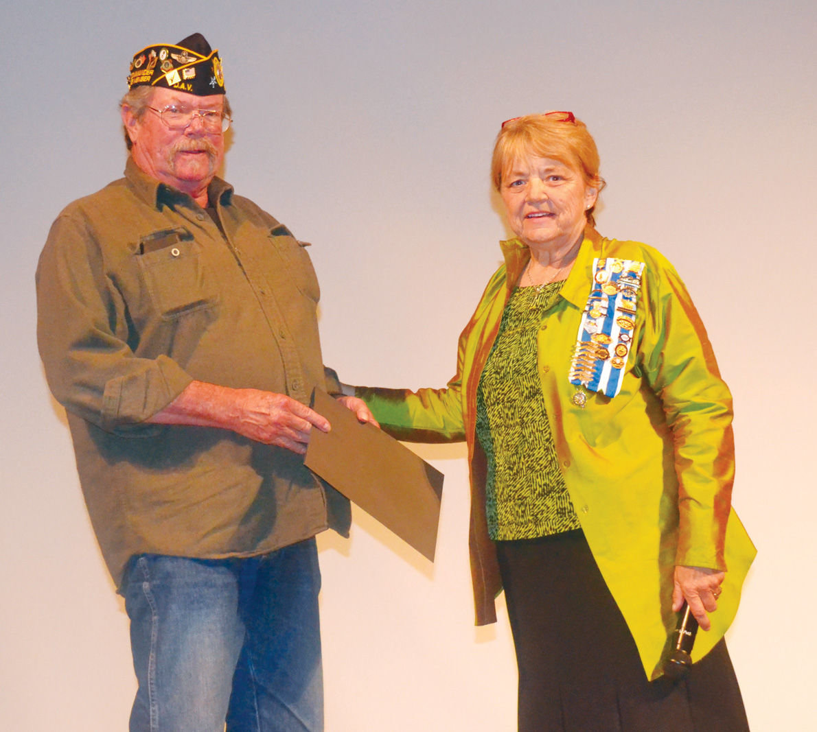Vietnam veterans honored by state and local DAR - Harrison Daily