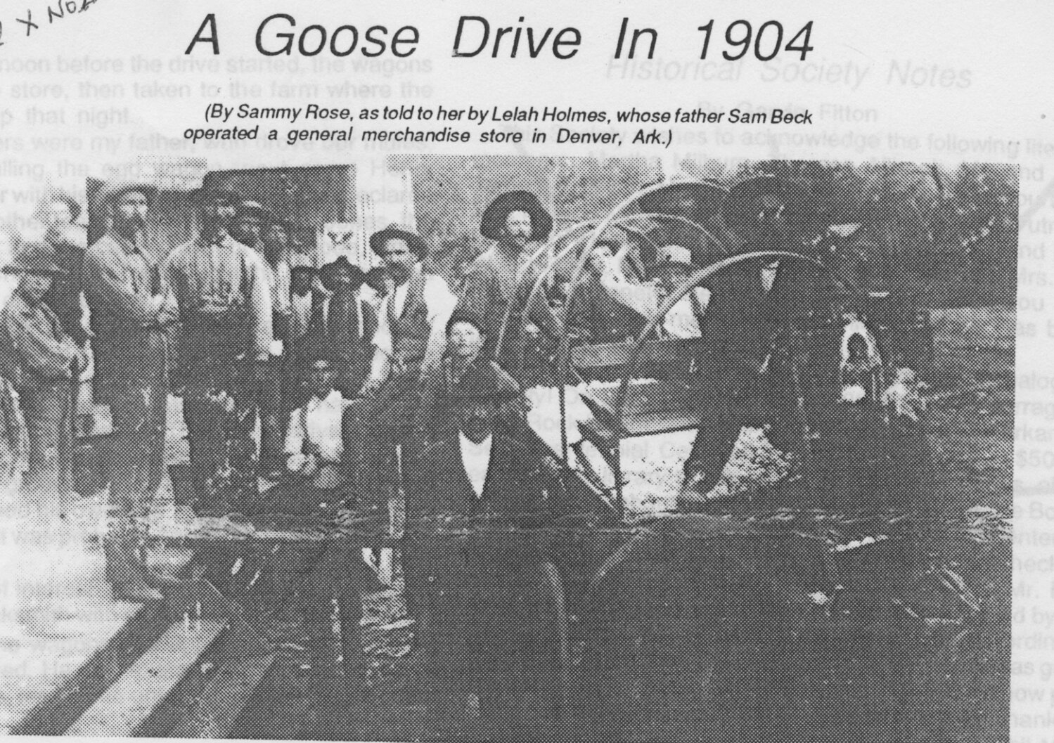 Goose herding - Harrison Daily