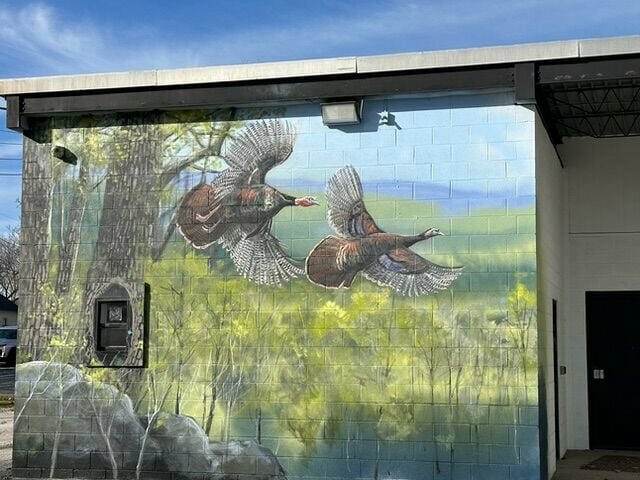 Yellville mural honors turkey heritage, conservation - Harrison Daily