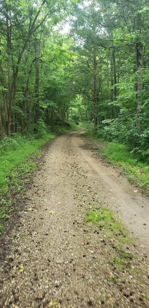 Erbie Campground road full of interest - Harrison Daily