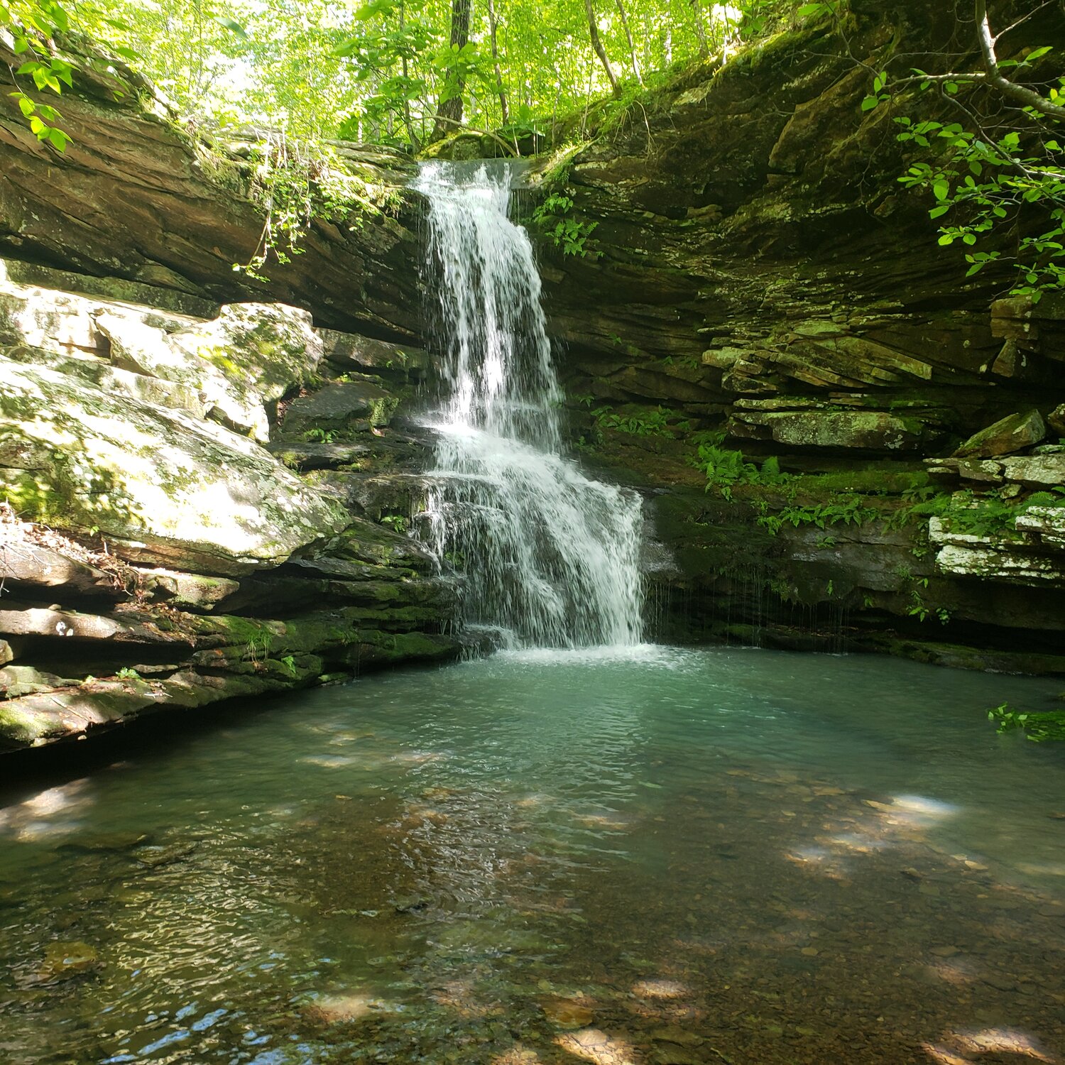 Magnolia Falls is solid experience - Harrison Daily