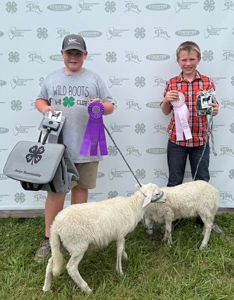 Cooper Brothers Present Their Sheep At 4-H Show | The Journal-News