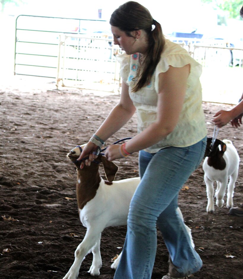 Goats Exhibited During Annual County Fair Show | The Journal-News