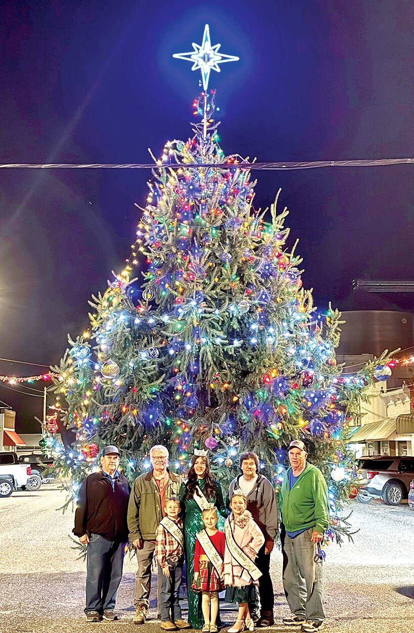 Raymond Lights Annual Village Christmas Tree | The Journal-News