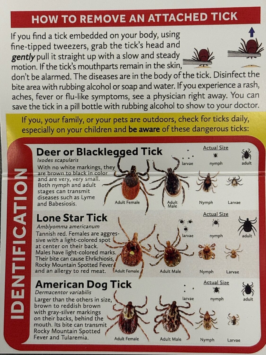 Tick season in bloom | The Islip Bulletin