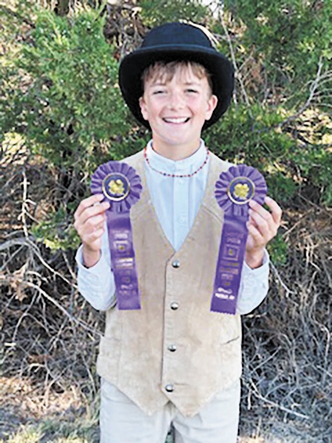 4-H Western Heritage Intermediate Grand Champion Ashtin Sellers - The ...