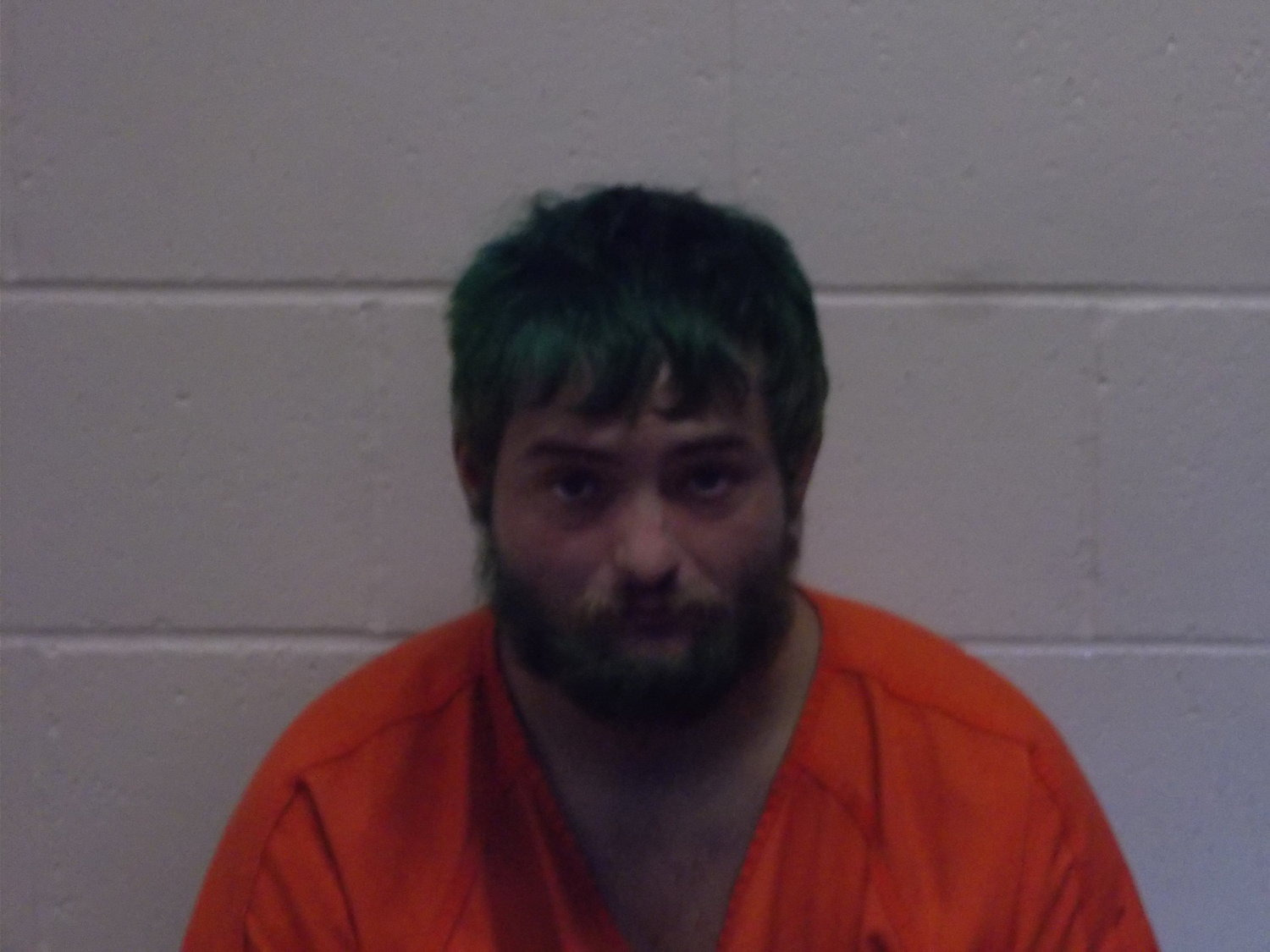 Sparta man charged with assaulting officers - Monroe County Herald