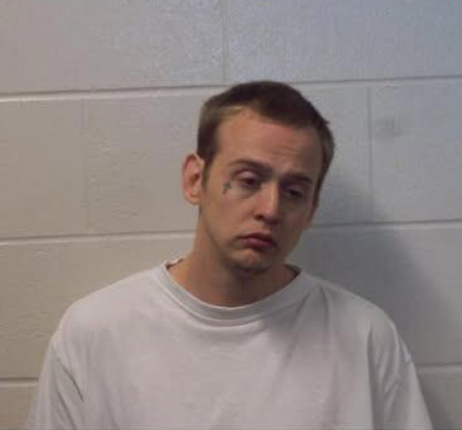 Tomah man sentenced to 15 years in prison for Thanksgiving stabbing ...