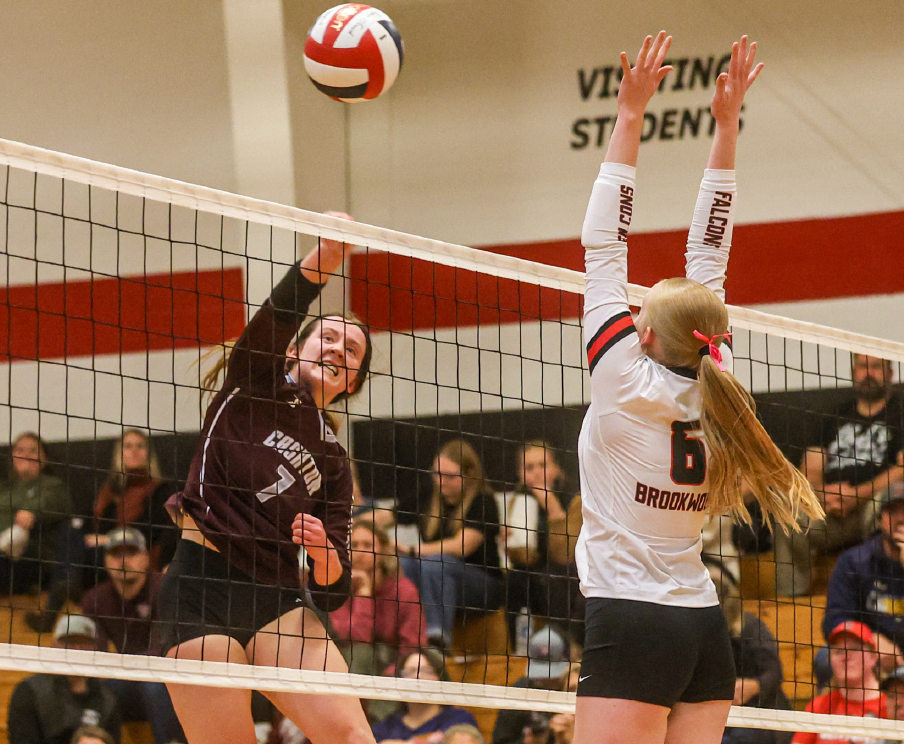 DIVISION 4 REGIONAL VOLLEYBALL ; Cashton captures regional crown ...