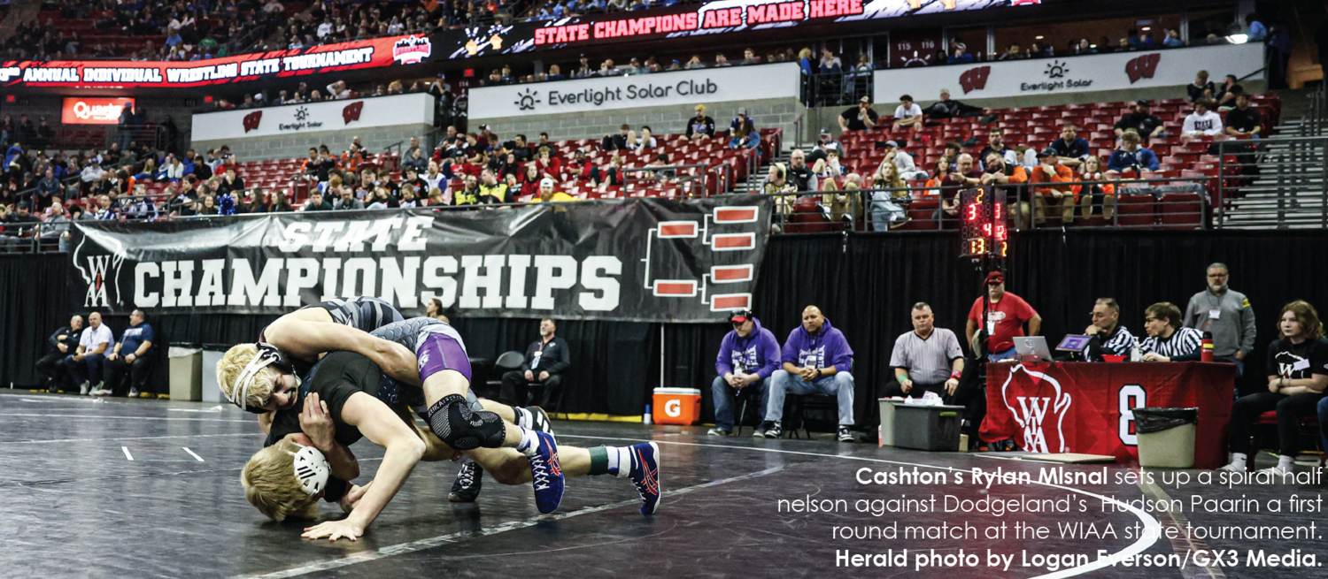 WIAA DIVISION 3 STATE WRESTLING CASHTON: Just another Mlsna family ...