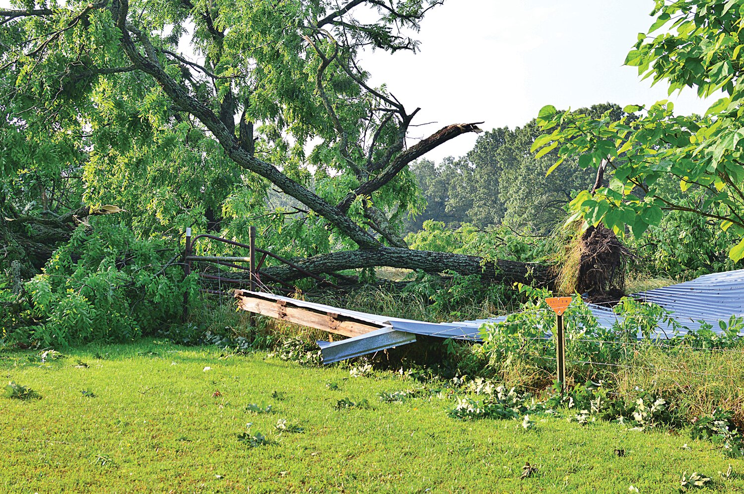 Strong winds down trees, damage structures in county - Madison County ...