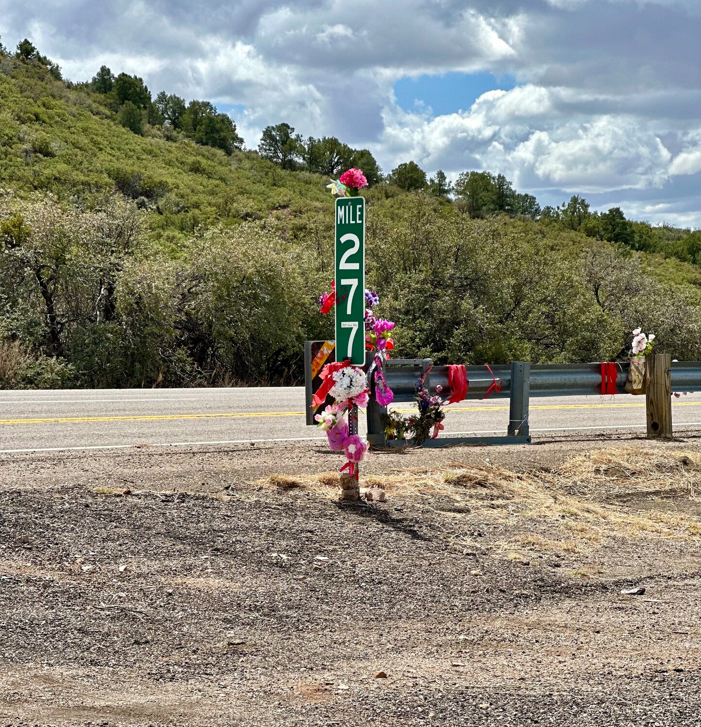 Emily Pike: A year awaiting justice - Arizona Silver Belt