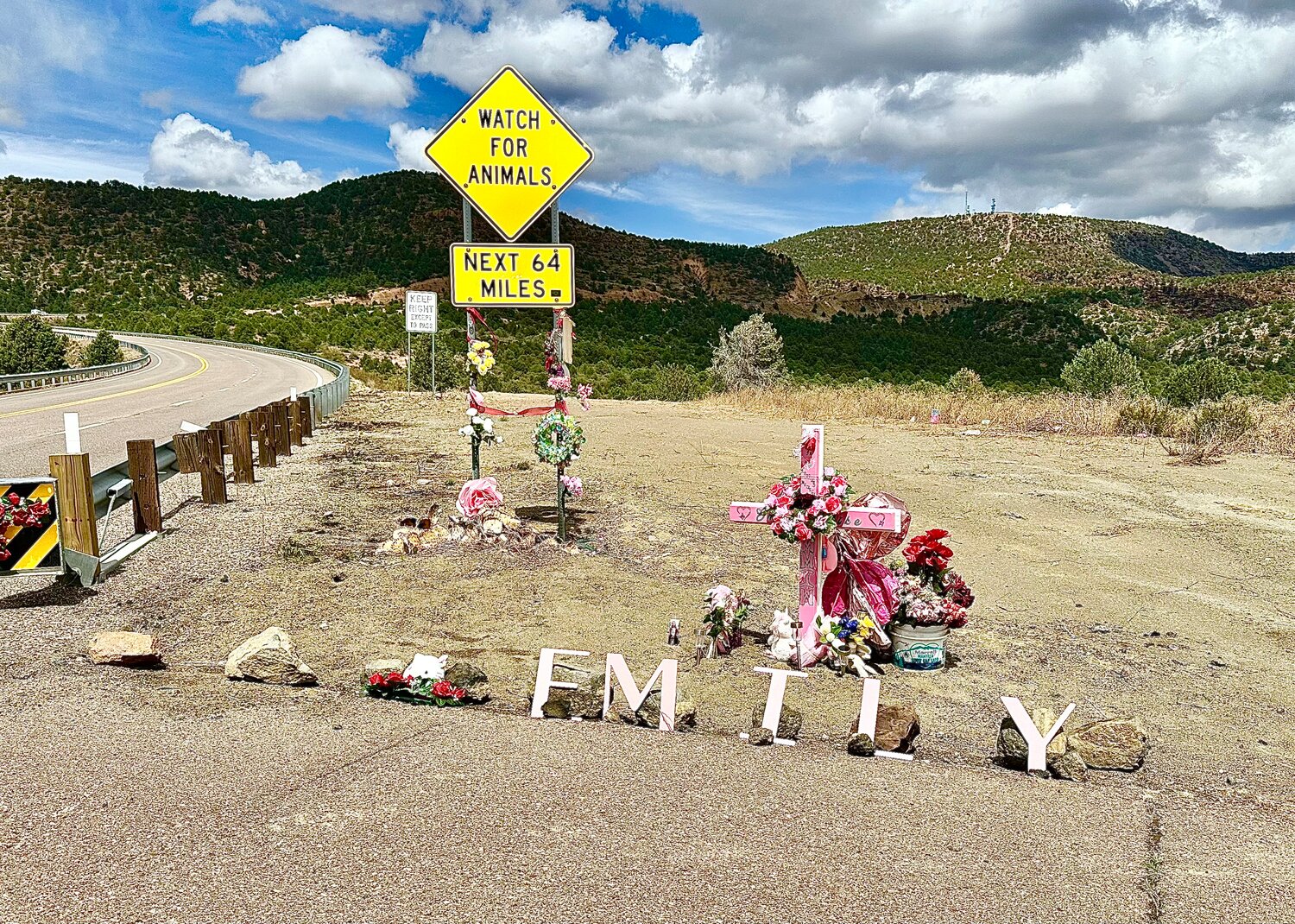 Emily Pike: A year awaiting justice - Arizona Silver Belt