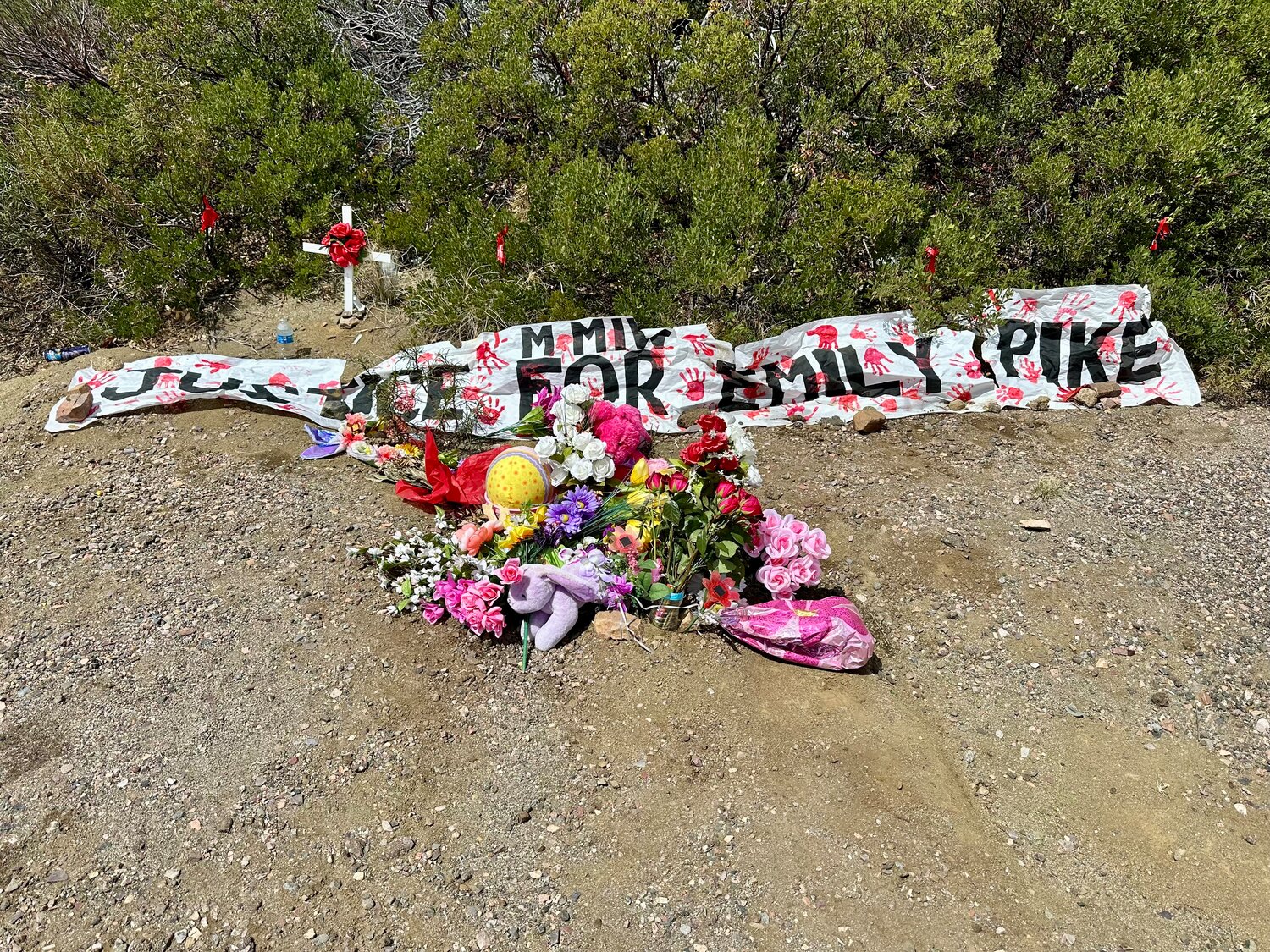 Emily Pike: A year awaiting justice - Arizona Silver Belt