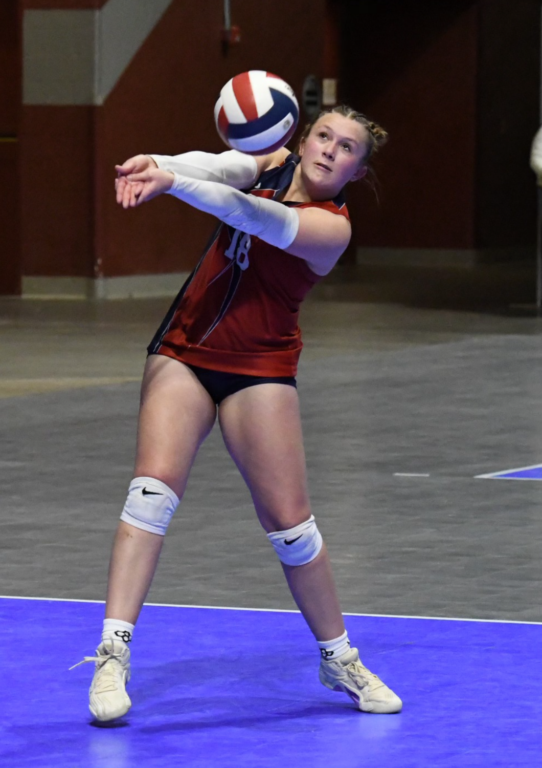 Lady Doggers battle at state - Torrington Telegram