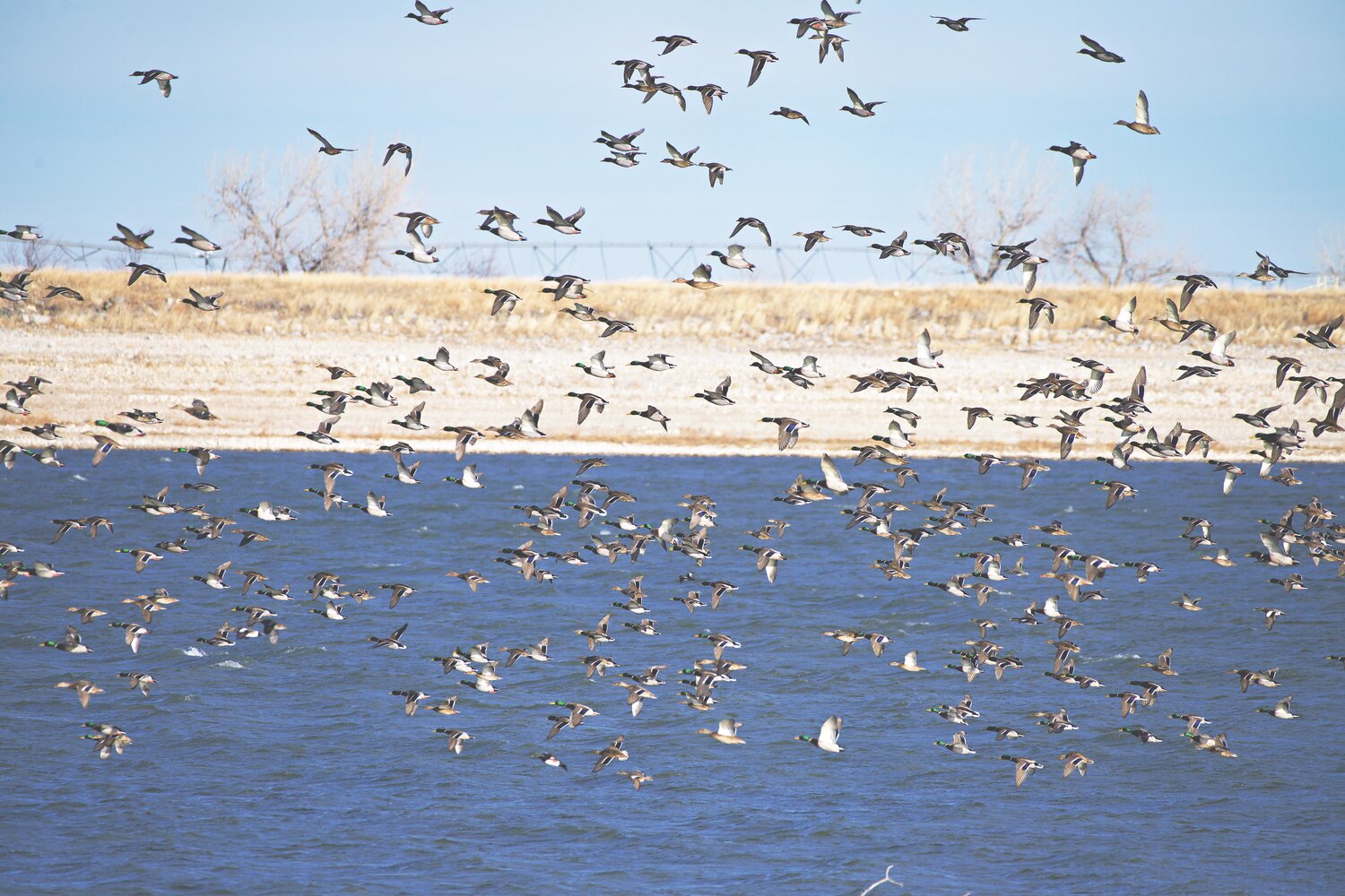 Taking a break from the wind... - Platte County Record-Times