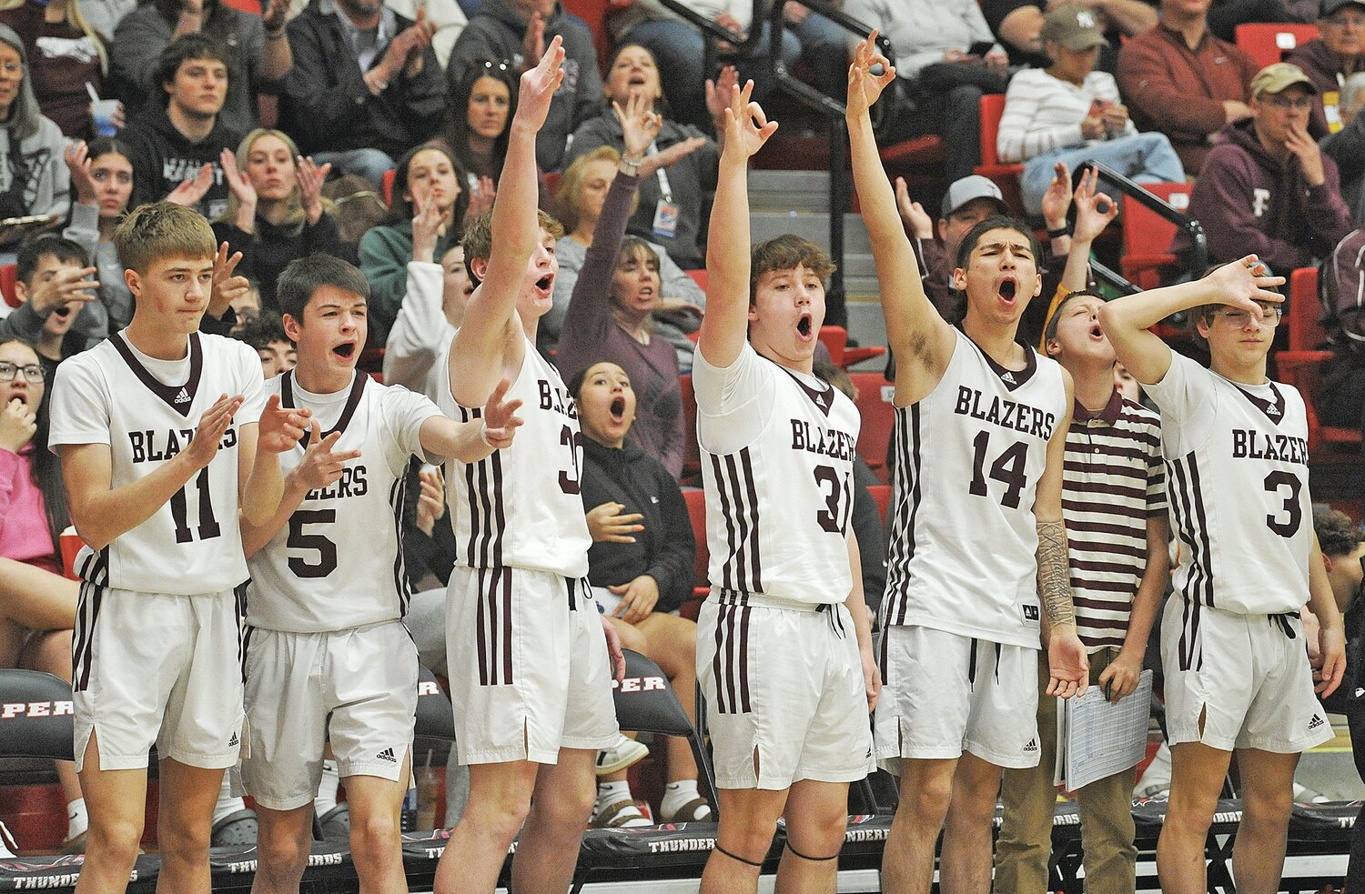 Blazers snag third at state - Torrington Telegram