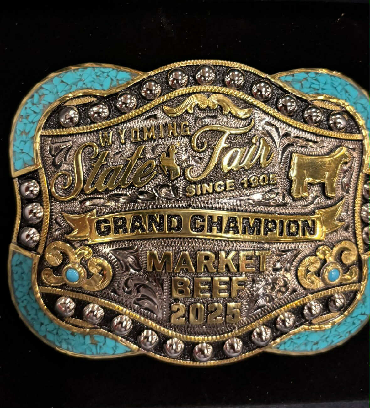 Fox is state fair grand champ! - Kemmerer Gazette