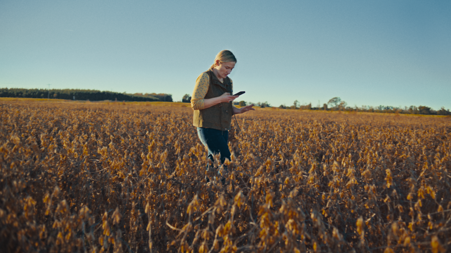 From the farm to the Super Bowl: Allendale farmer featured in OpenAI ...