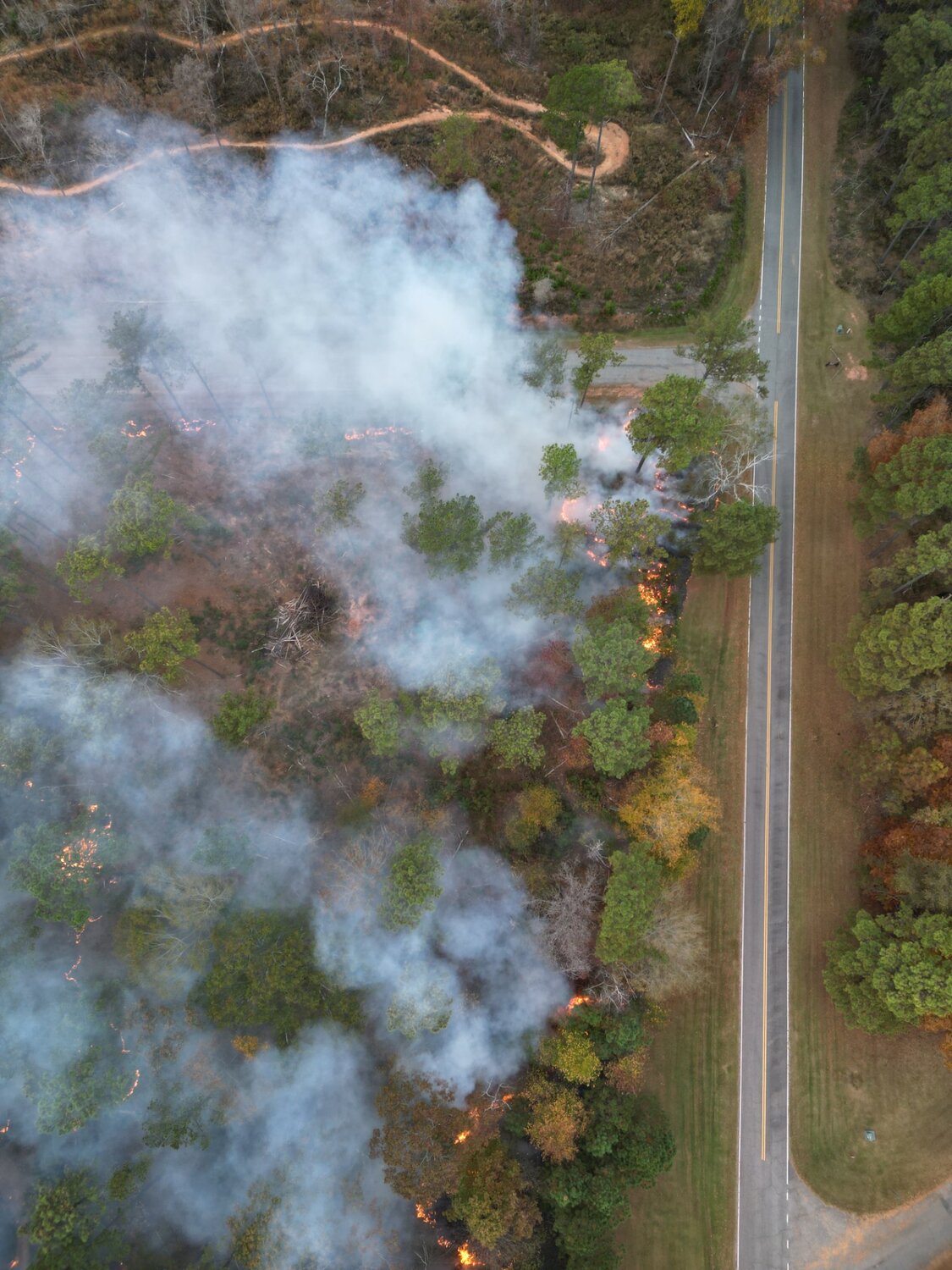 Prescribed burns planned this season in South Carolina State Parks ...