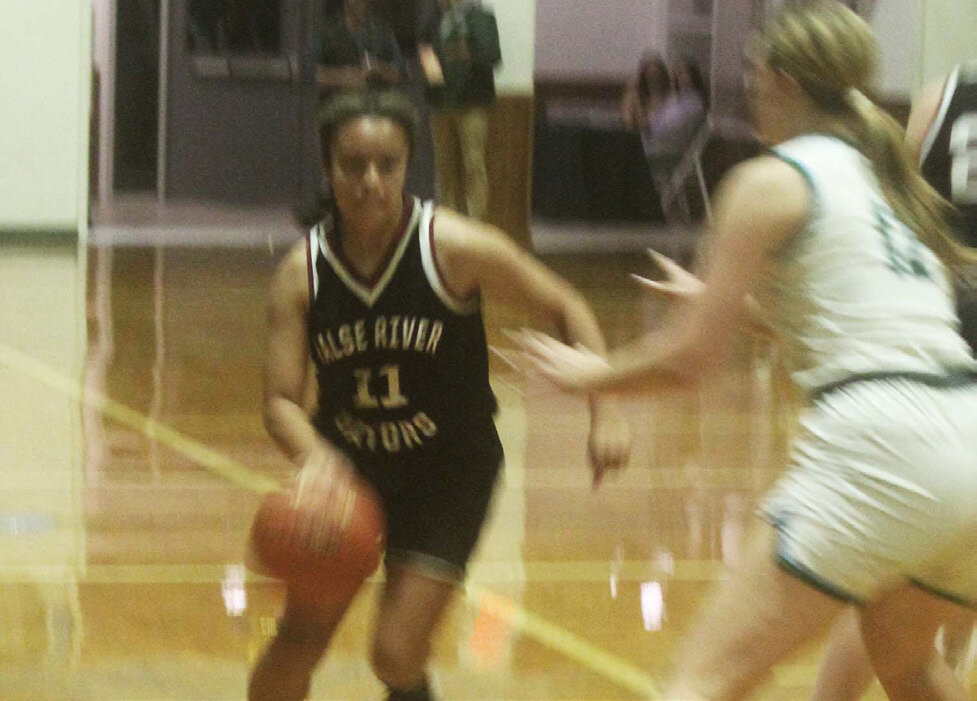 10 players reap All-State, all-district honors - Pointe Coupee Banner
