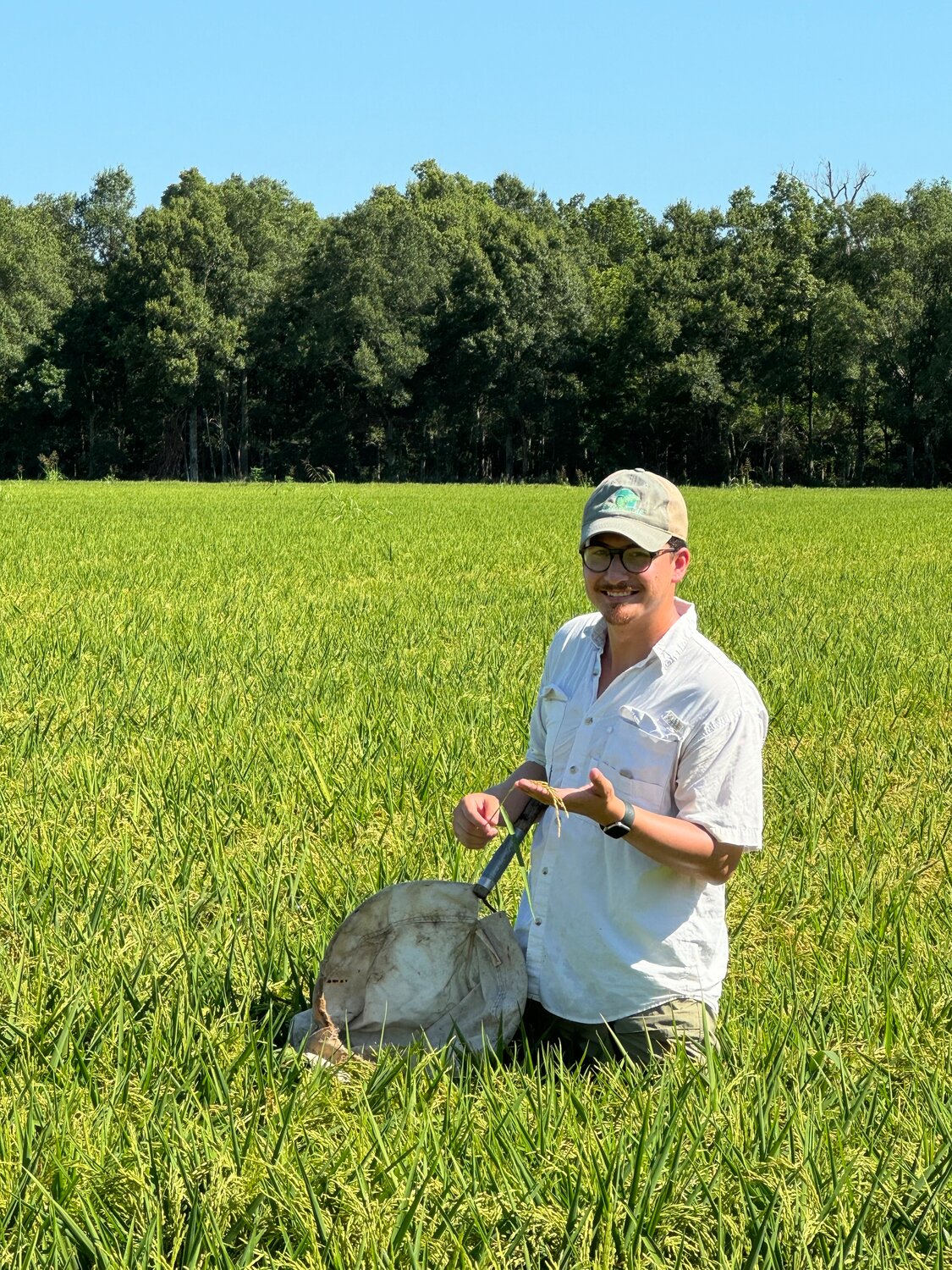 Born for this: New state rice specialist faces an emerging challenge ...