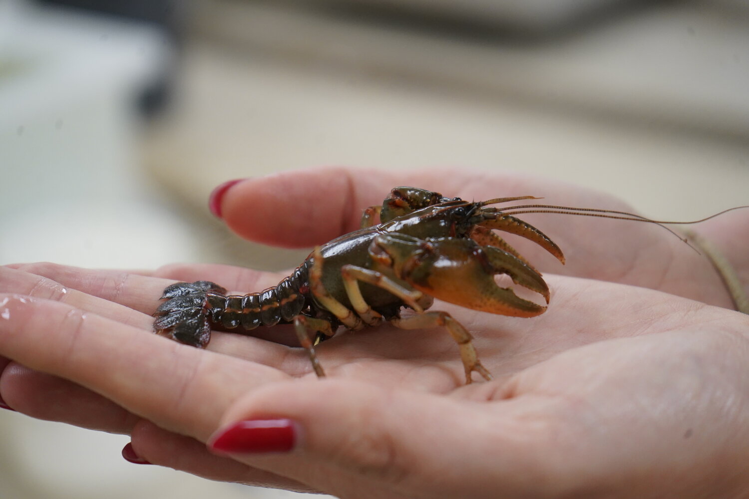 New aquaculture professor wants to create a lasting legacy of research ...