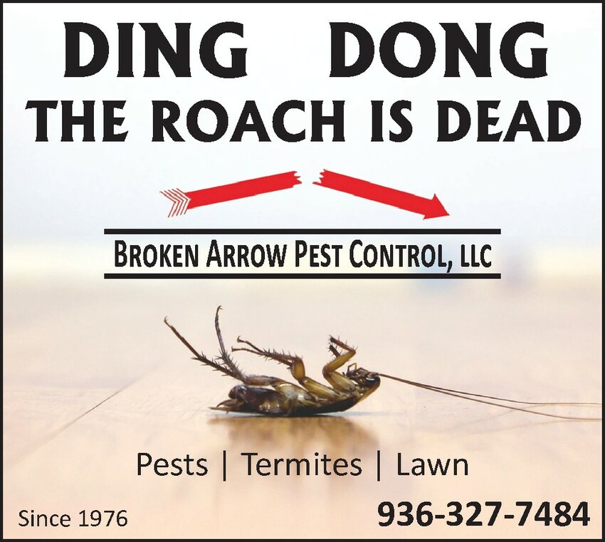 Great Description About Broken Arrow Pest Control