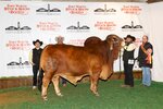Local ranch rakes in awards - Trinity County News-Standard