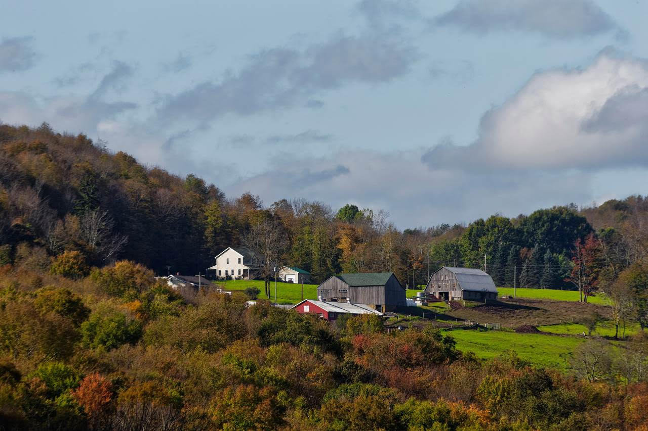 Nearly half a million for Jeff farm | The River Reporter