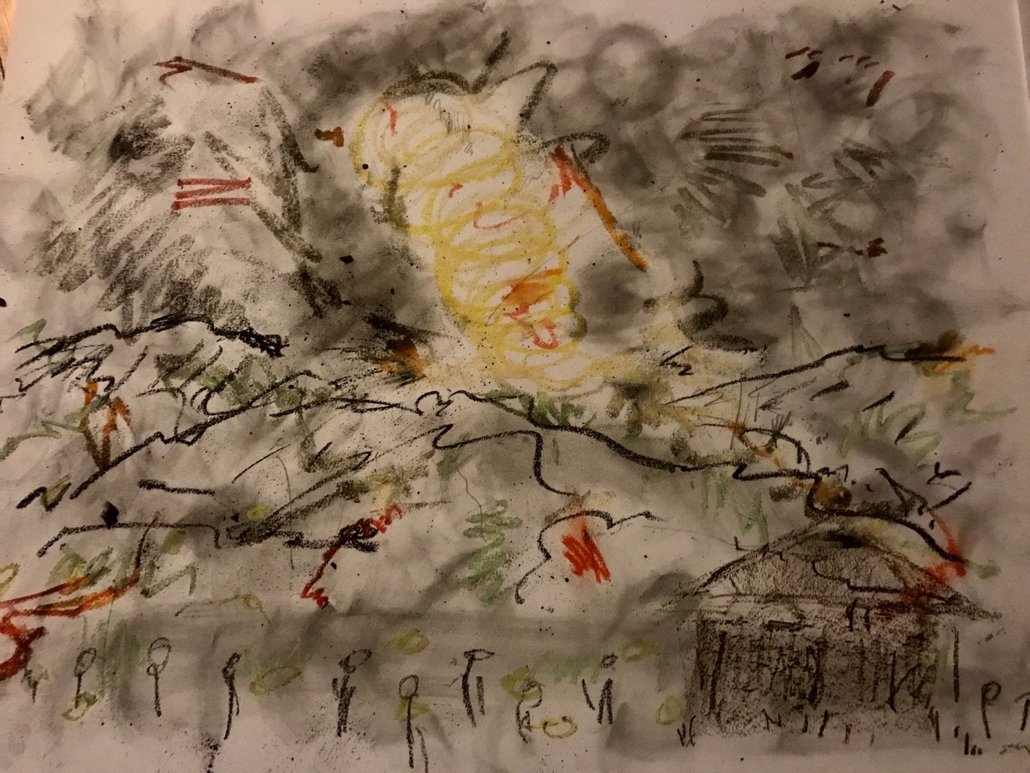 Artist's impression of Rasmussen fire | The River Reporter