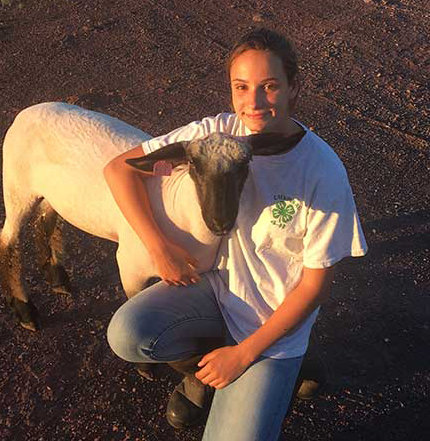 What are those 4-H barns all about? | The River Reporter