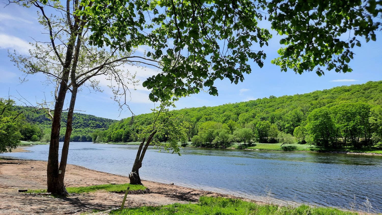 Ten Mile River conservation announced | The River Reporter