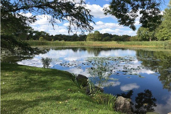 Pond Walk @ PennState Extension | The River Reporter