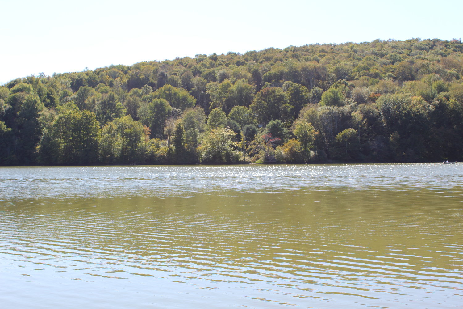 Saving Lake Jeff? | The River Reporter