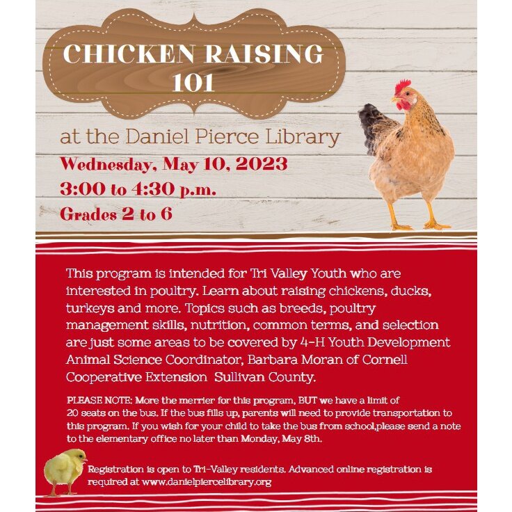 Chicken Raising 101 @ DPL | The River Reporter