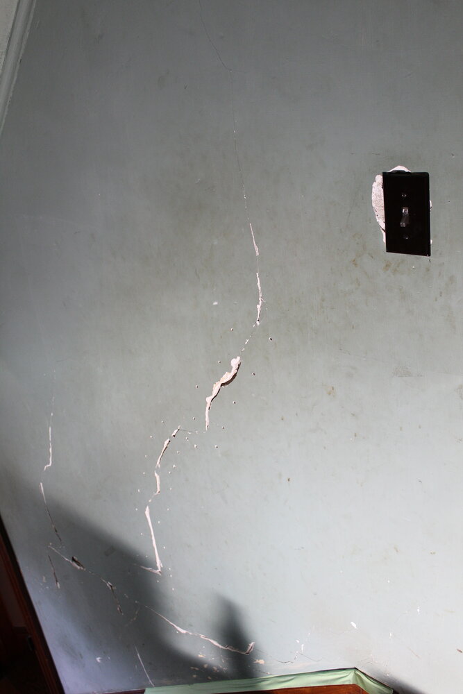 Fixing the plaster disaster | The River Reporter