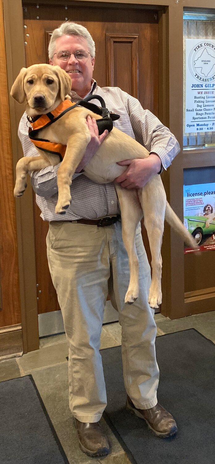 Dog licenses available in Pike | The River Reporter