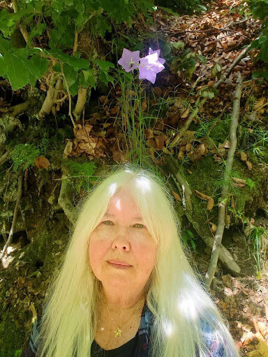 Susan Deer Cloud to speak at WSPL Callicoon | The River Reporter