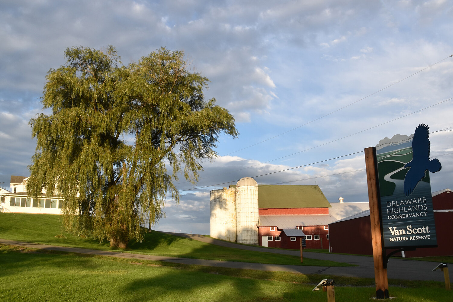 Roses in May at the DHC | The River Reporter